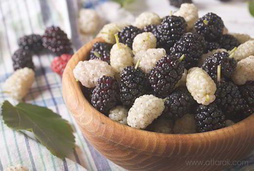 خواص شگفت انگیز انواع توت | عطاری آنلاین | عطارک