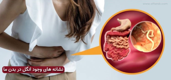 نشانه های وجود انگل در بدن ما و راه های مقابله با آن | عطاری آنلاین | عطارک