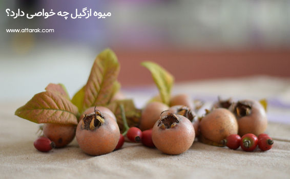 میوه ازگیل و خواص دارویی و فوق العاده آن برای درمان بیماری ها | عطاری ...