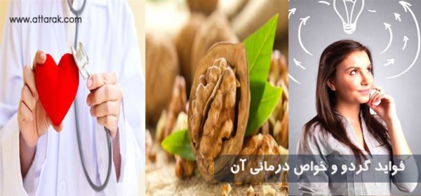 فواید گردو و خواص درمانی آن | عطاری آنلاین | عطارک