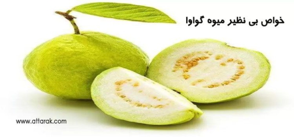 خواص بی نظیر میوه گواوا | عطاری آنلاین | عطارک