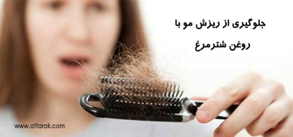 فواید روغن شترمرغ و خواص اعجاب انگیز آن | عطاری آنلاین | عطارک