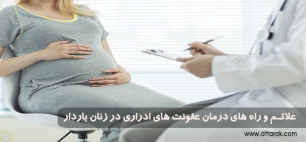 علائم و راه های درمان عفونت های ادراری در زنان باردار عطاری آنلاین