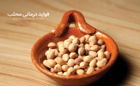 فواید دارویی محلب در طب سنتی را بشناسید