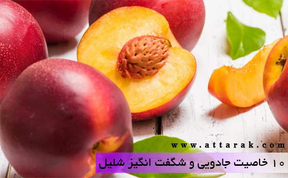 10 خاصیت جادویی و شگفت انگیز شلیل برای لاغری، پوست و سلامتی